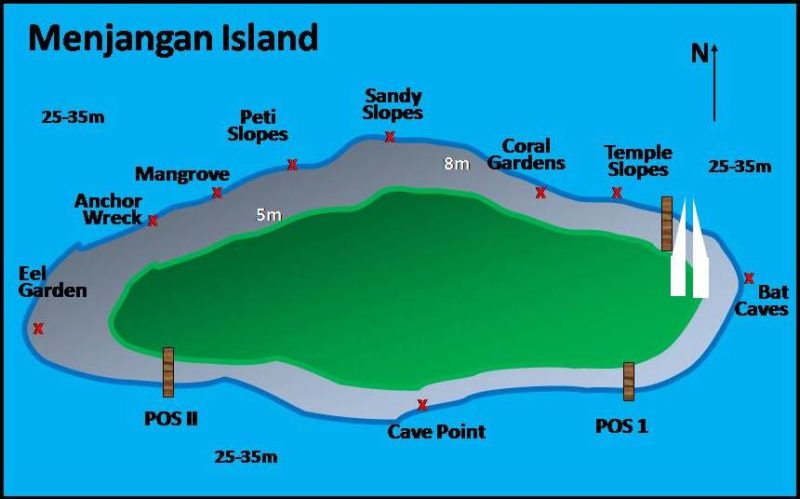 Menjangan Island – Reef Seen Bali